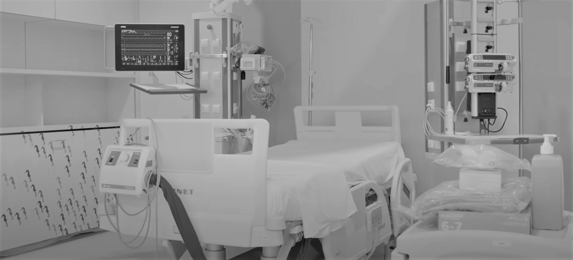 Experiencias de Compasión con las familias y niños que se atienden en ...